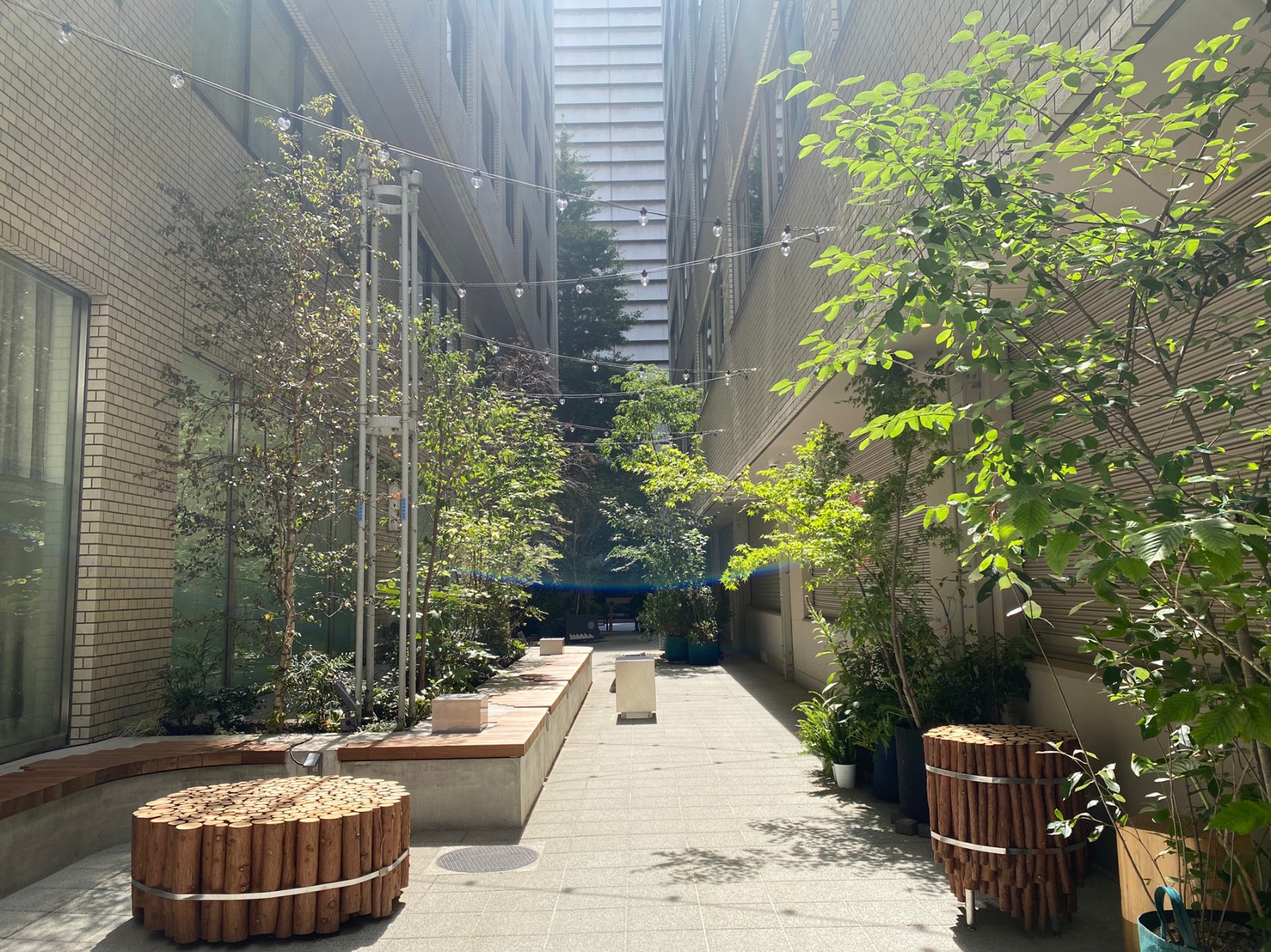 K project | GREEN SPACE